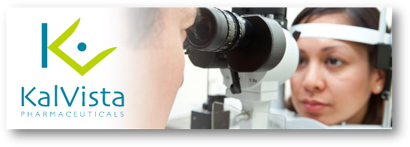 Partners & Objectives - 3D NET