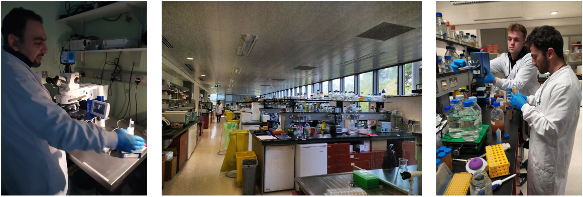 Our Lab - UCD Algae Group