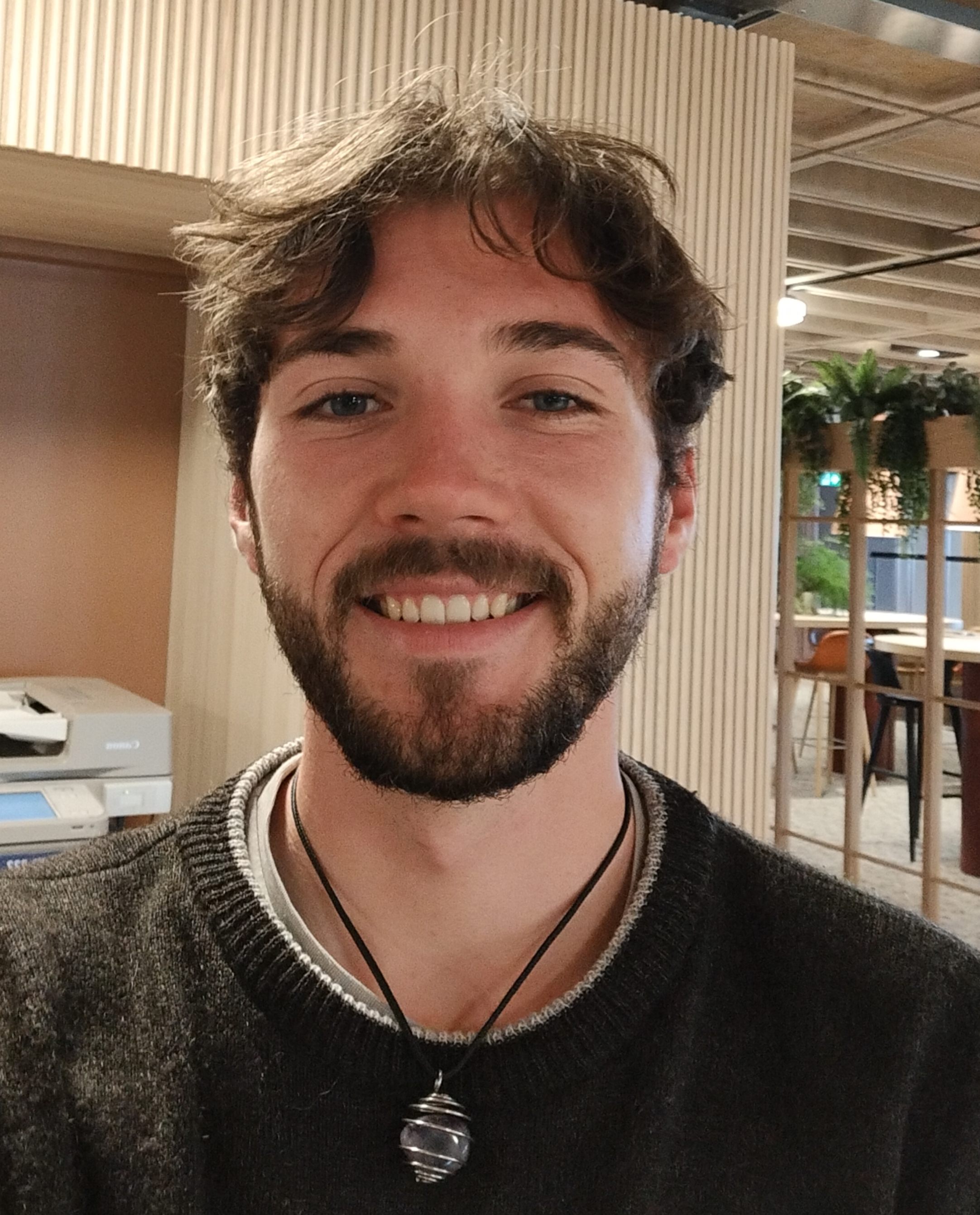 Career Mentoring Programme - UCD Careers Network