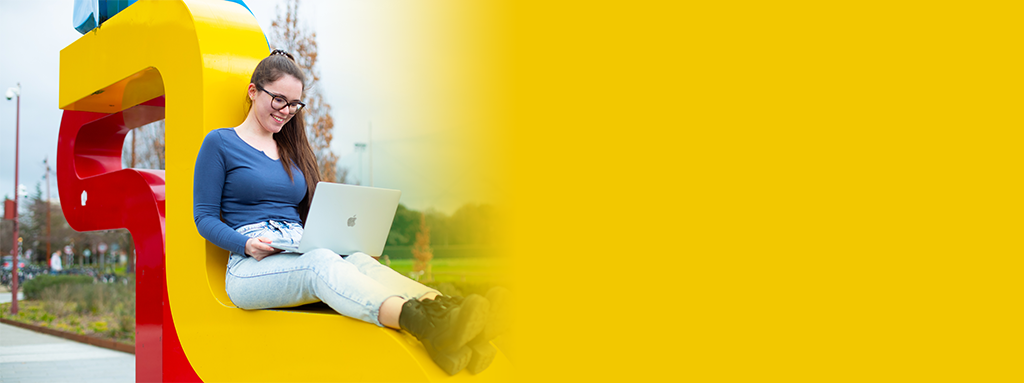 Build Your Skills Online - UCD Careers Network