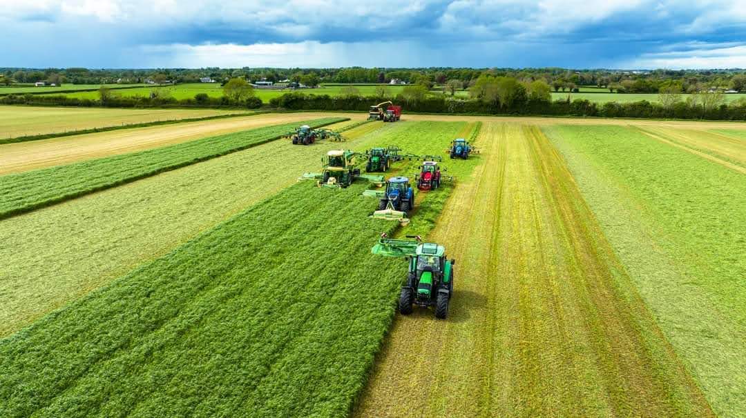 UCD College of Health and Agricultural Sciences
