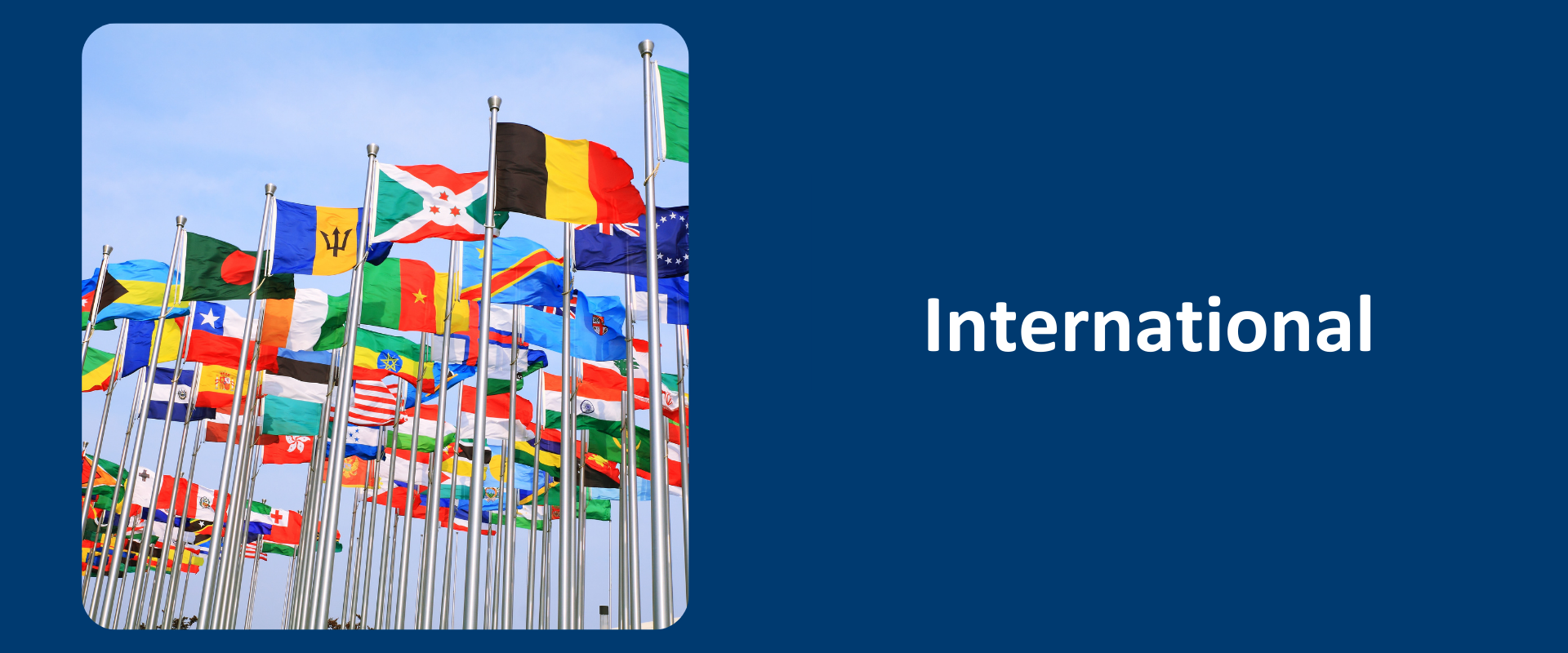 International - UCD School of Computer Science