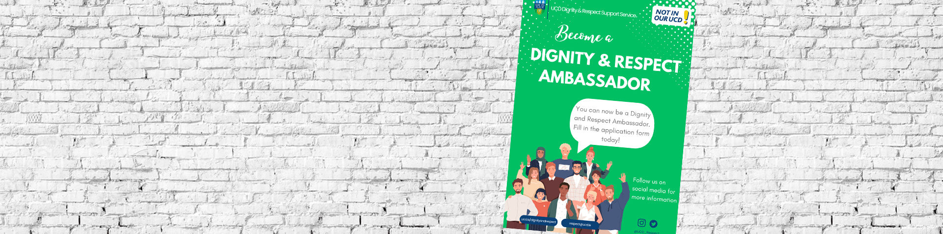 Ambassadors - Dignity & Respect