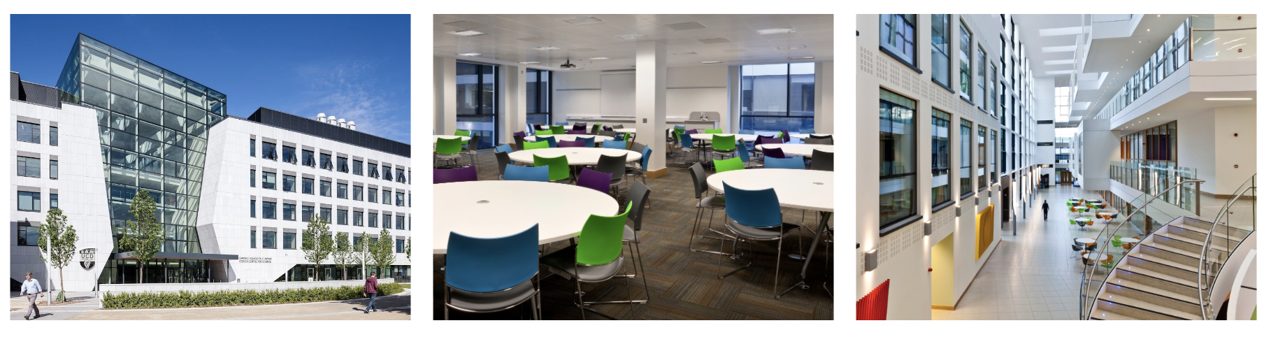 Summer Program - UCD Institute for Discovery