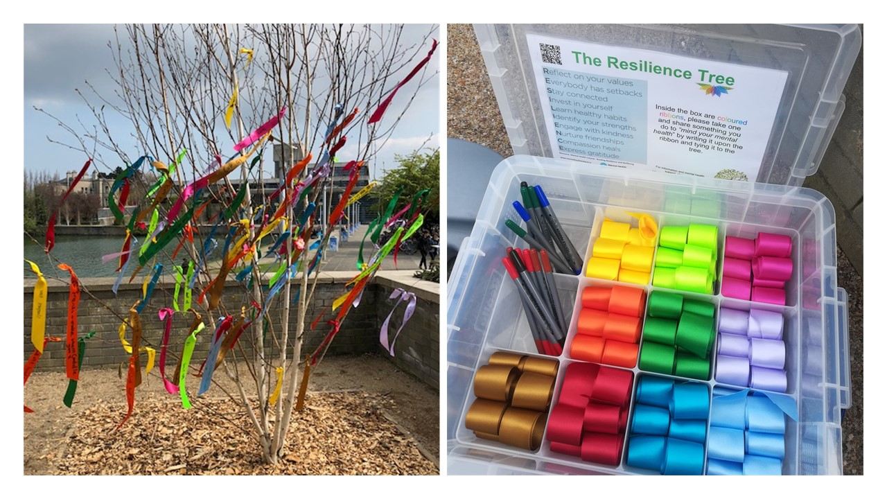 The Resilience Tree - Healthy UCD