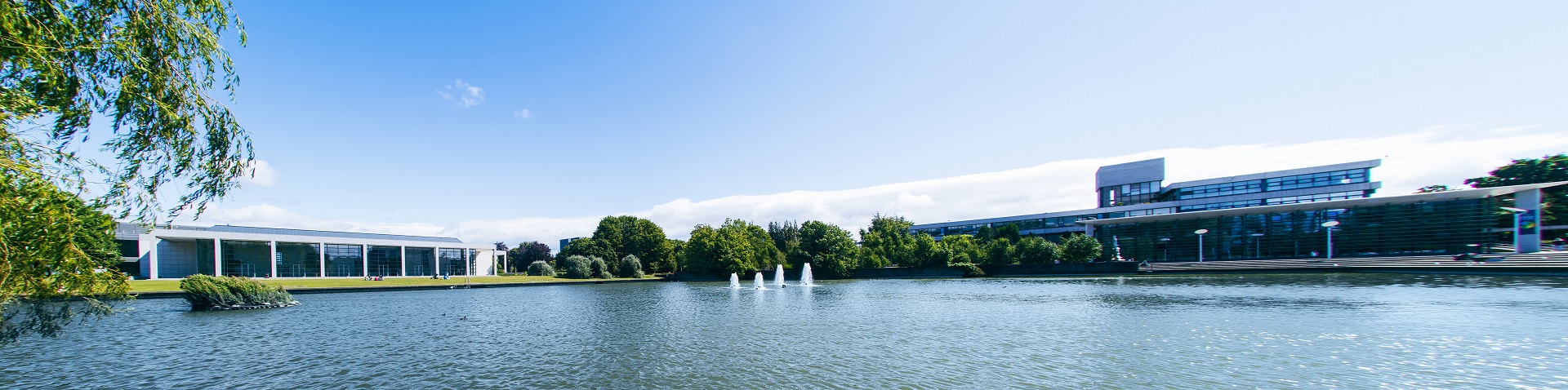 What we do - UCD Institutional Research