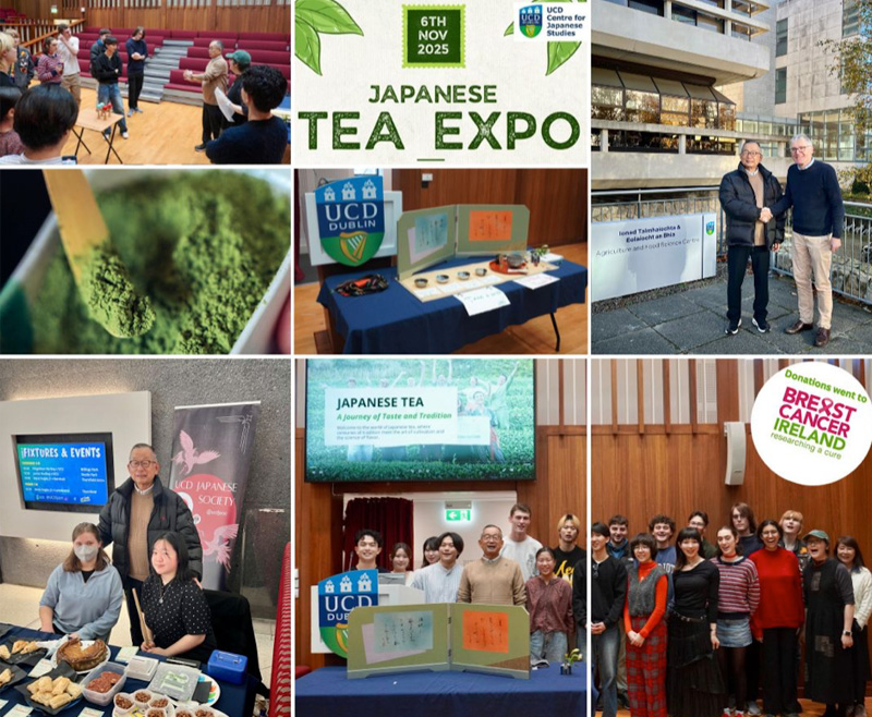 Japanese Tea Expo w Japanese student community - UCD Japan