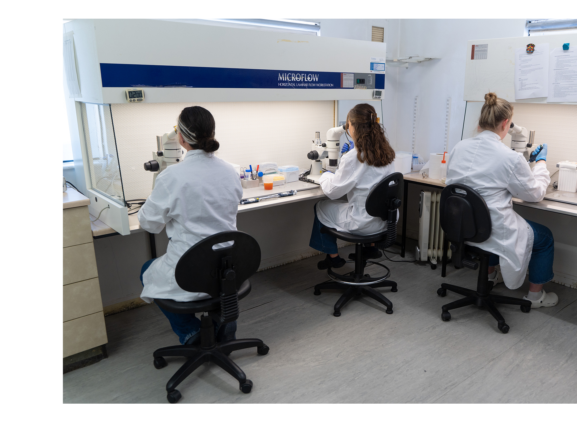 Lyons Farm - UCD Lyons Farm