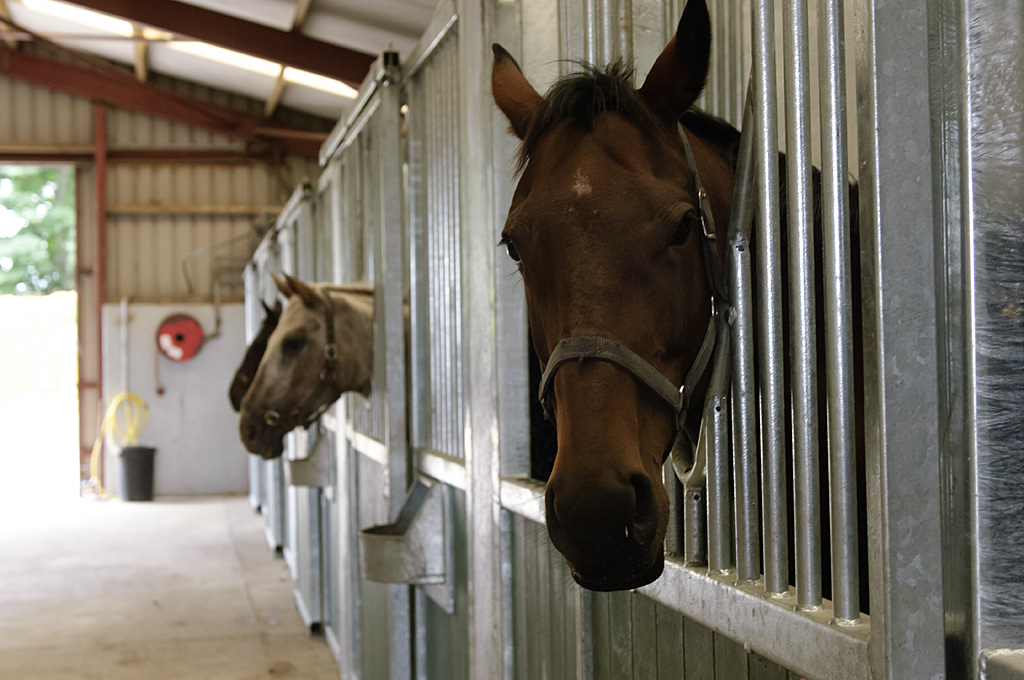 Lyons Farm - UCD Lyons Farm