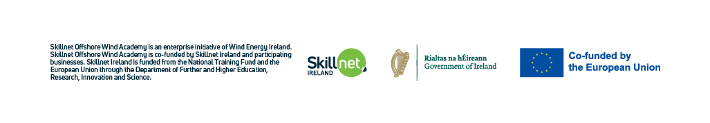 Birds and Onshore Wind Energy