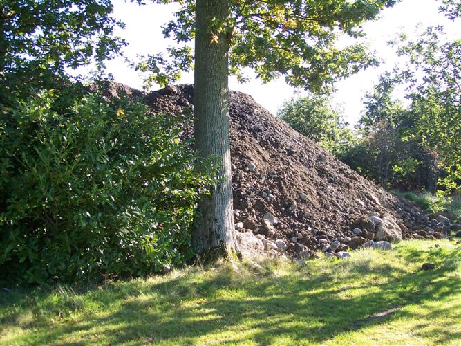Tree Damage - Landscape Trees