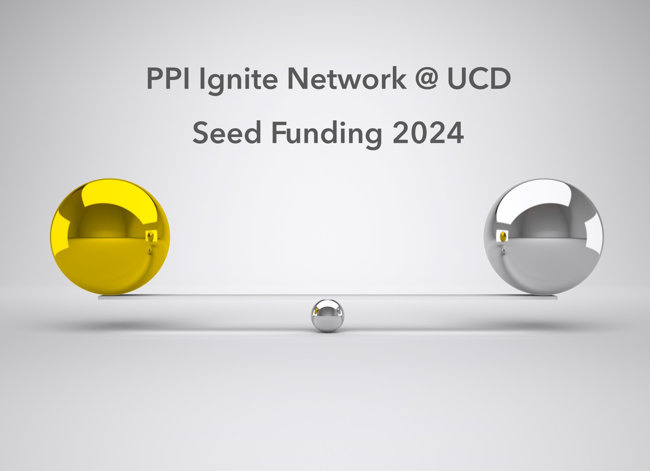 2024 Seed Funding - PPI Ignite Network