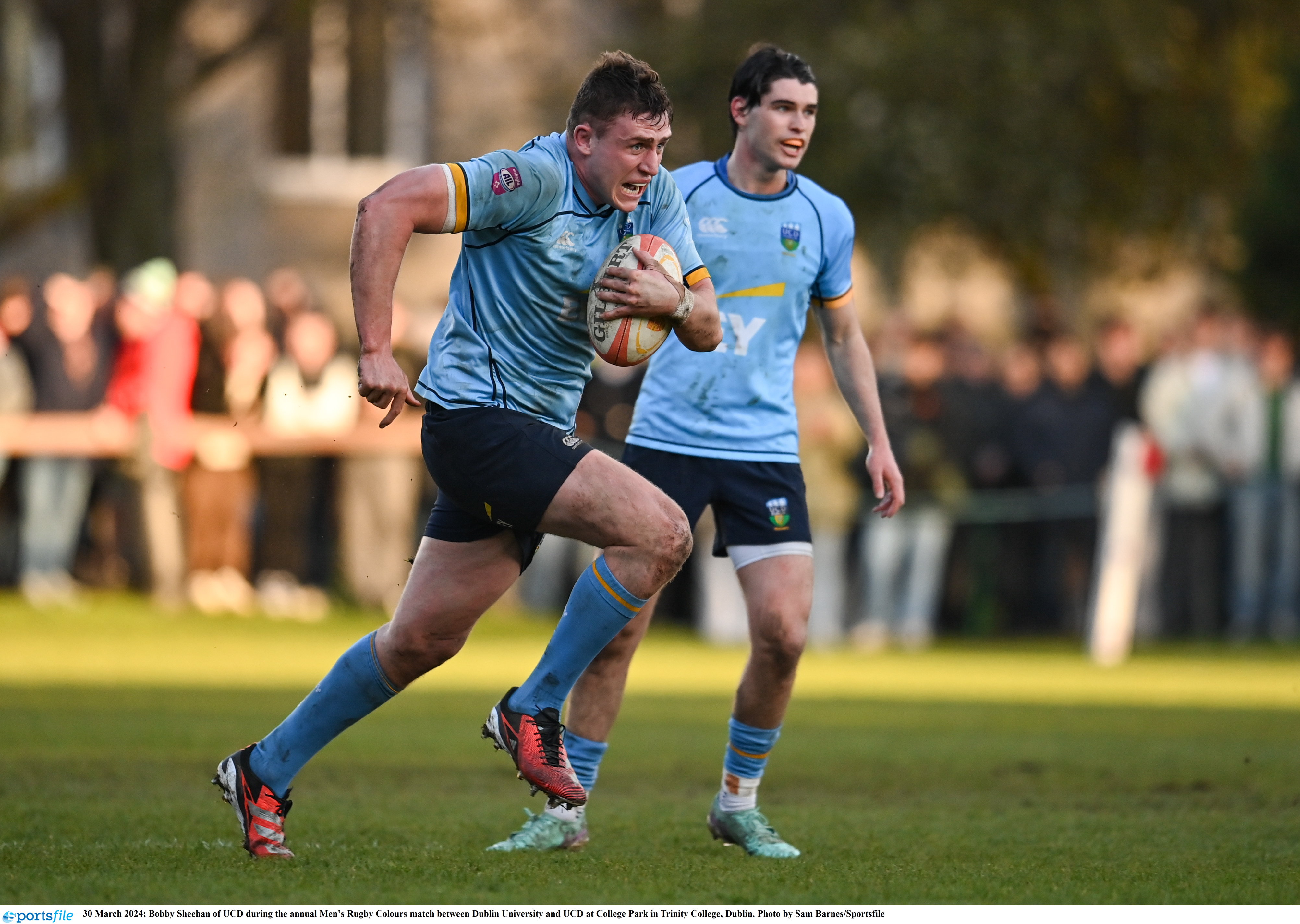 Men's Rugby - UCD Rugby