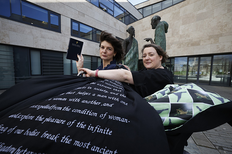 Historic durational reading of Irish Constitution ahead of care and ...