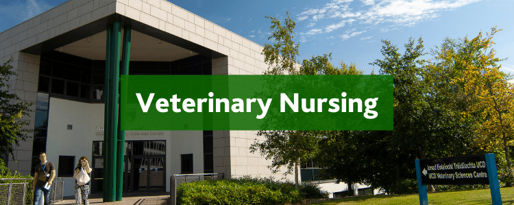 Veterinary Nursing - UCD School of Veterinary Medicine